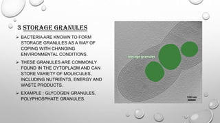 Microbiology (Ankit and Rekha).pdf