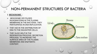 Microbiology (Ankit and Rekha).pdf