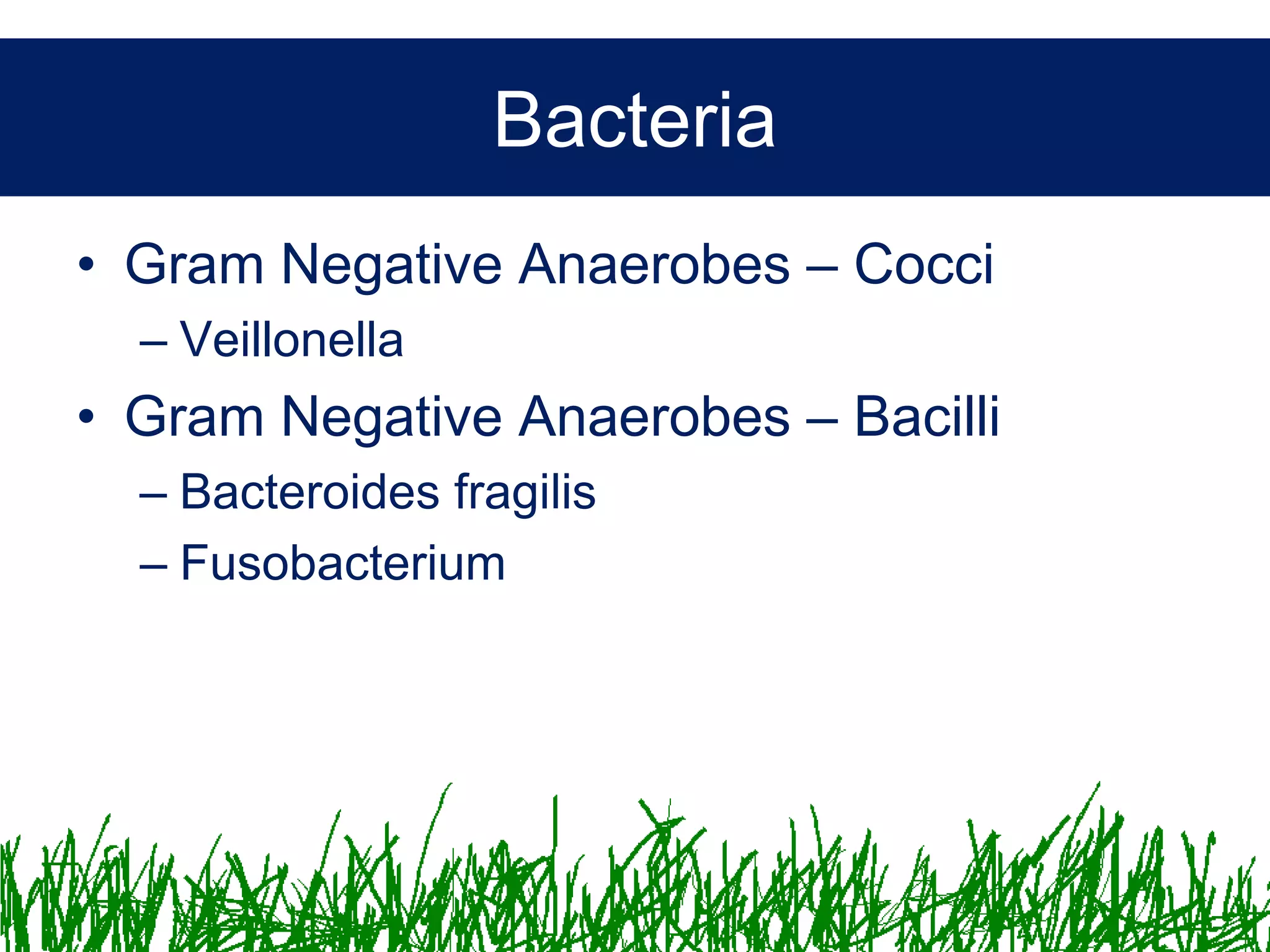 Microbiology &Antibiotics | PPSX