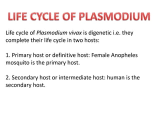 Microbiology - malaria | PPTX