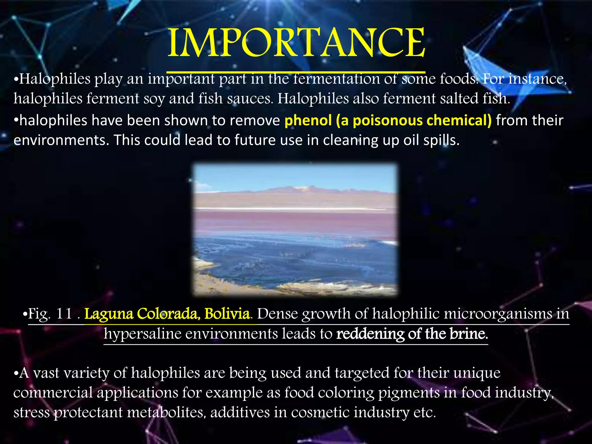Introduction to Extremophiles (part 1) | PPTX | Biological Sciences ...