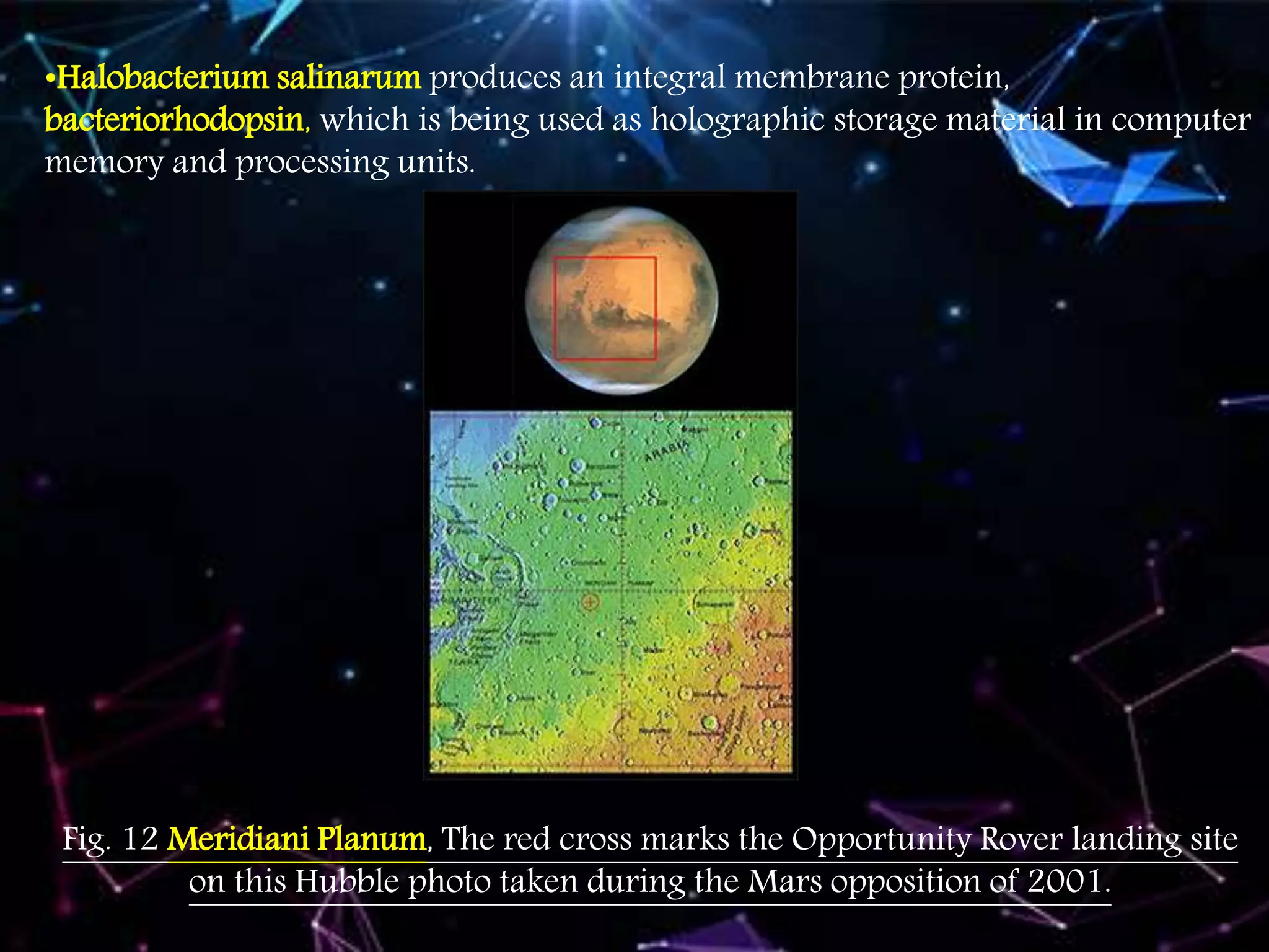 Introduction to Extremophiles (part 1) | PPTX | Biological Sciences ...