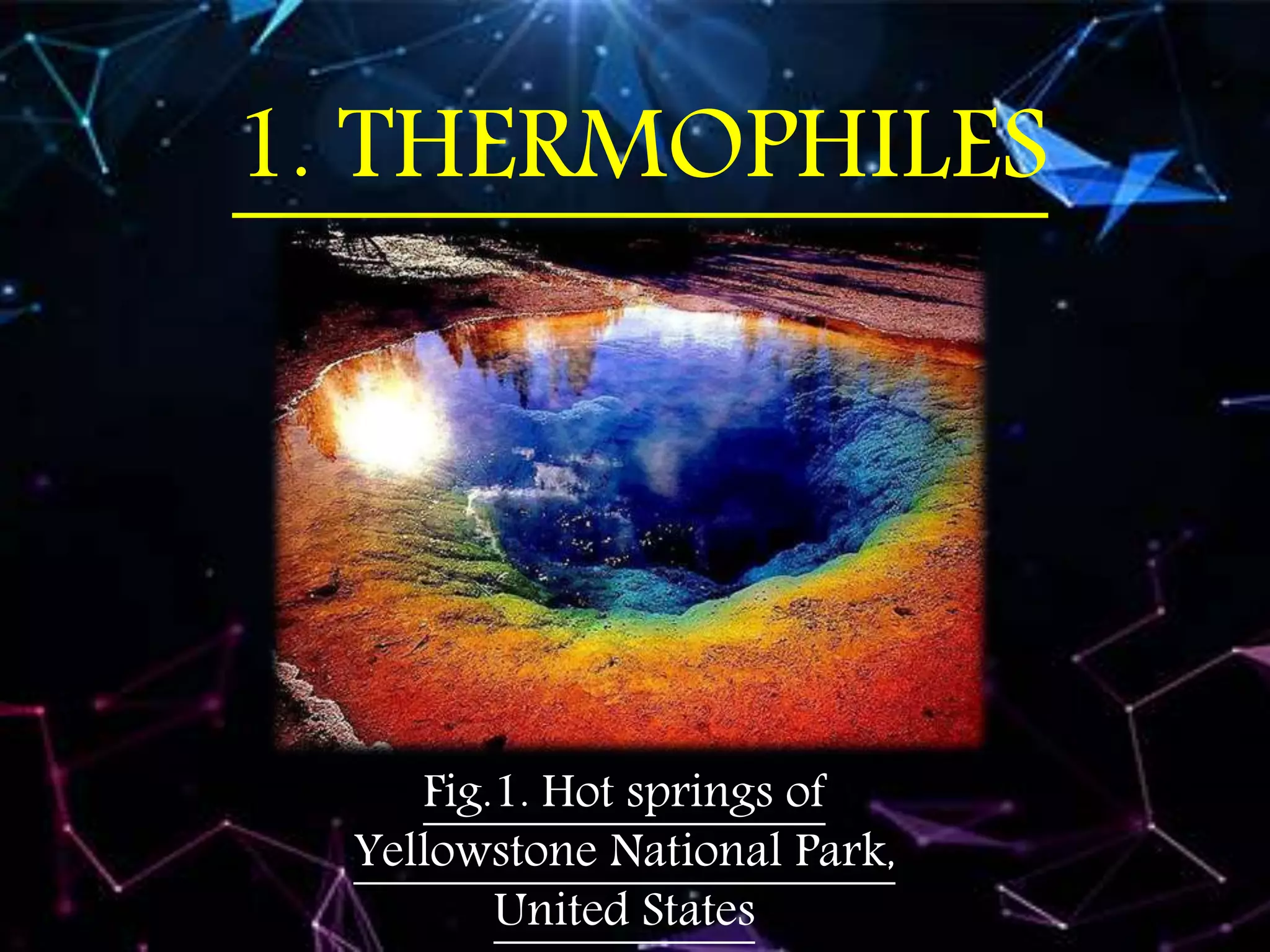 Introduction To Extremophiles Part 1 Ppt
