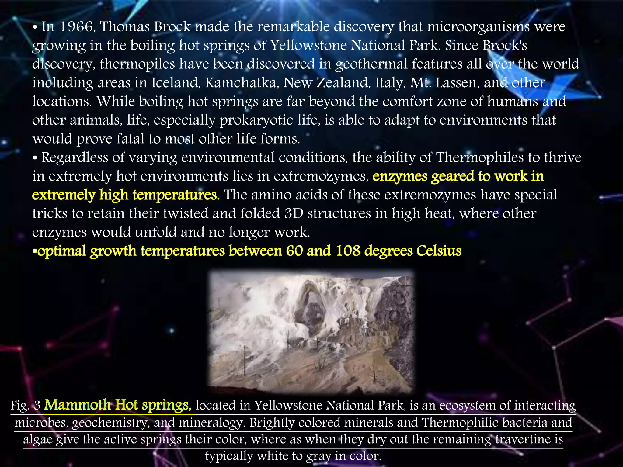 Introduction to Extremophiles (part 1) | PPTX | Biological Sciences ...