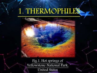 Introduction to Extremophiles (part 1) | PPTX | Biological Sciences ...