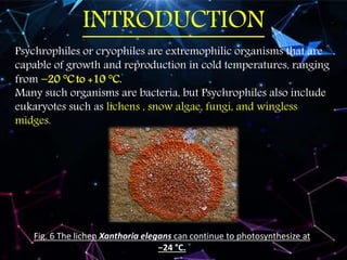 Introduction to Extremophiles (part 1) | PPTX | Biological Sciences | Science