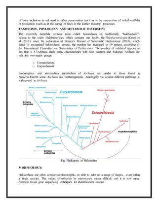 Extreme halophilic archea assignment | PDF