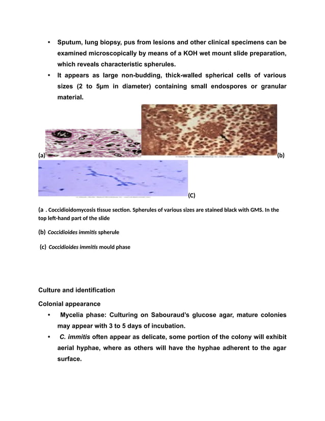 MICROBIOLOGY ASSIGNMENT.docx1HGWUYGYETYDGNBK | PDF | Free Download
