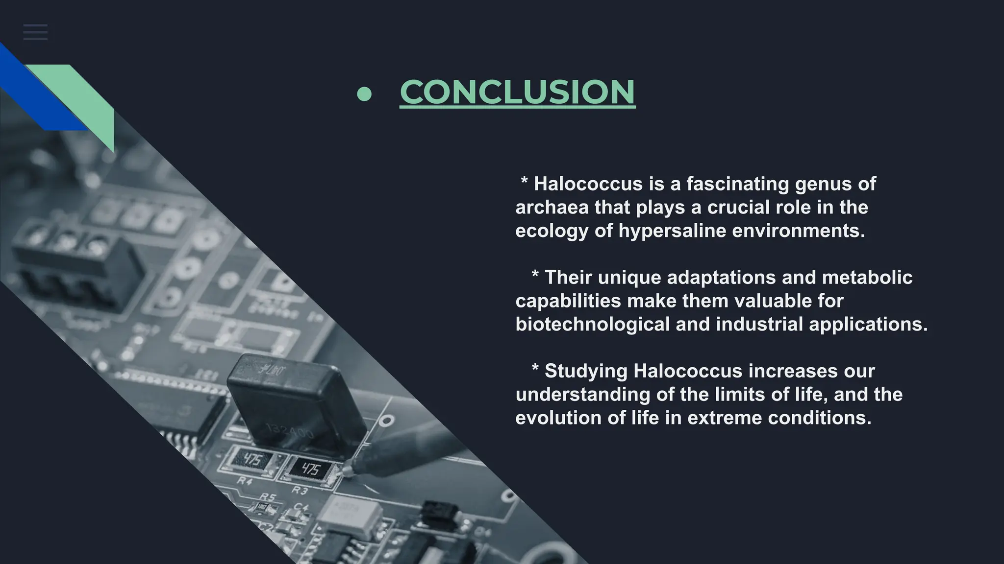 Halococcus Microbiology assignment PPT | PDF