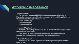 Halococcus Microbiology assignment PPT | PDF