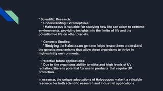 Halococcus Microbiology assignment PPT | PDF