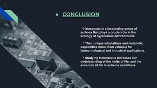 Halococcus Microbiology assignment PPT | PDF