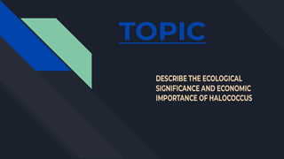 Halococcus Microbiology assignment PPT | PDF