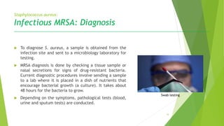 Medical Microbiology - The lurking microbe : Staphylococcus aureus | PPT