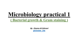 Microbiology (bacterial growth) | PPT