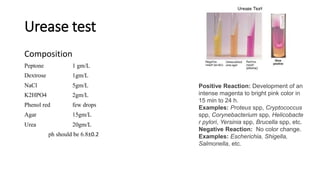 MICROBIOLOGY biochemical test detailed.pptx