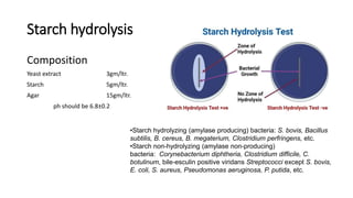MICROBIOLOGY biochemical test detailed.pptx