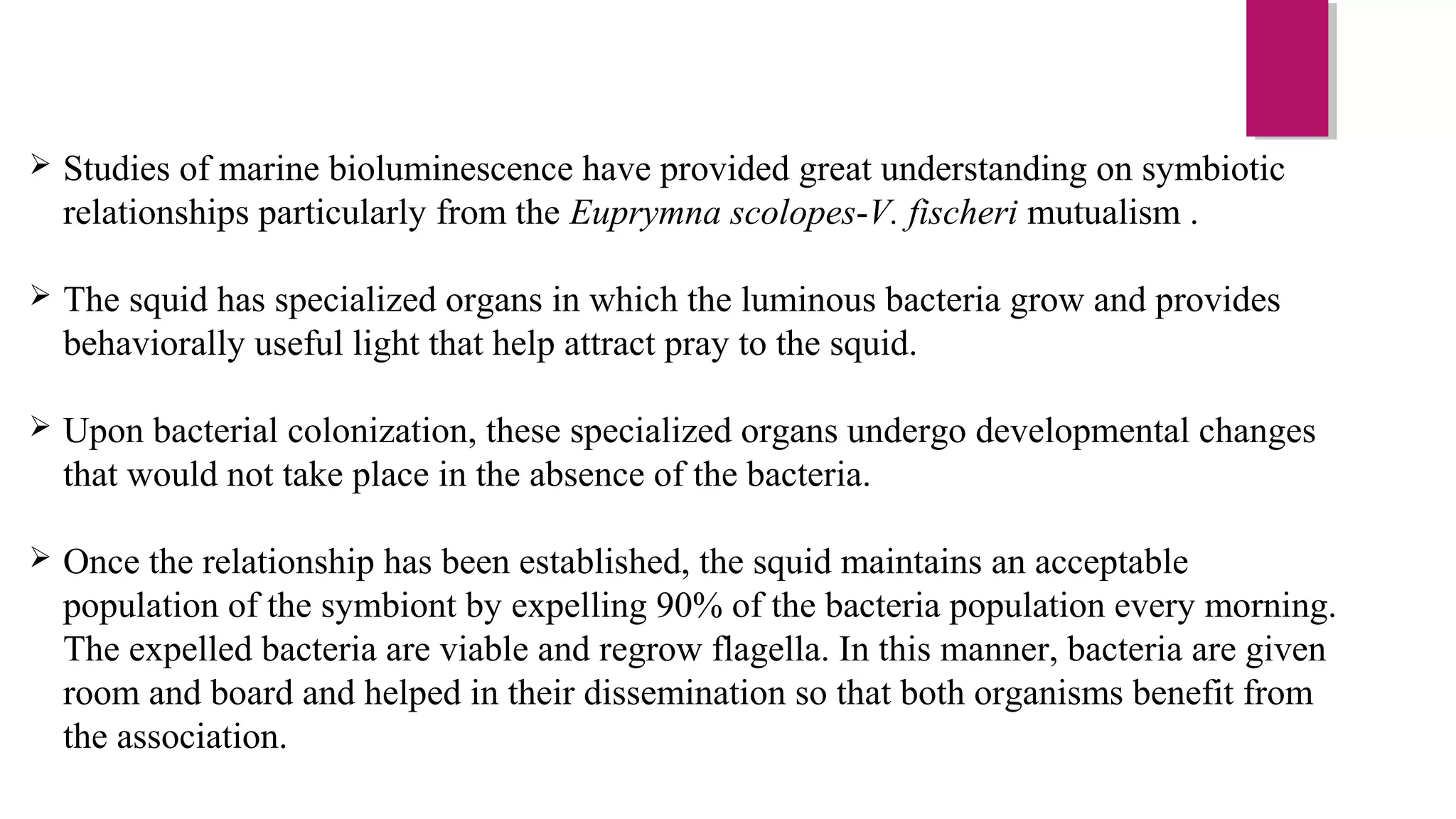 bioluminscence of microorganisms | PPT