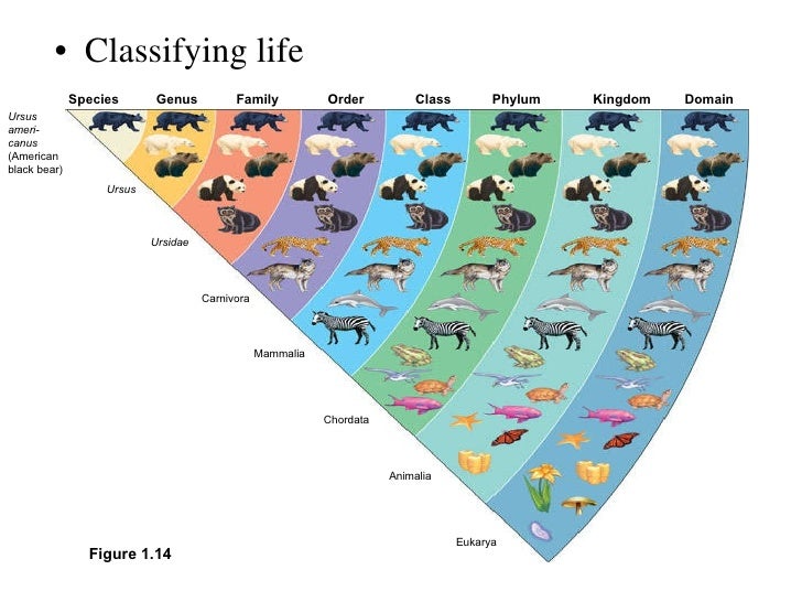 Microbiology chapter 1 lect(2)