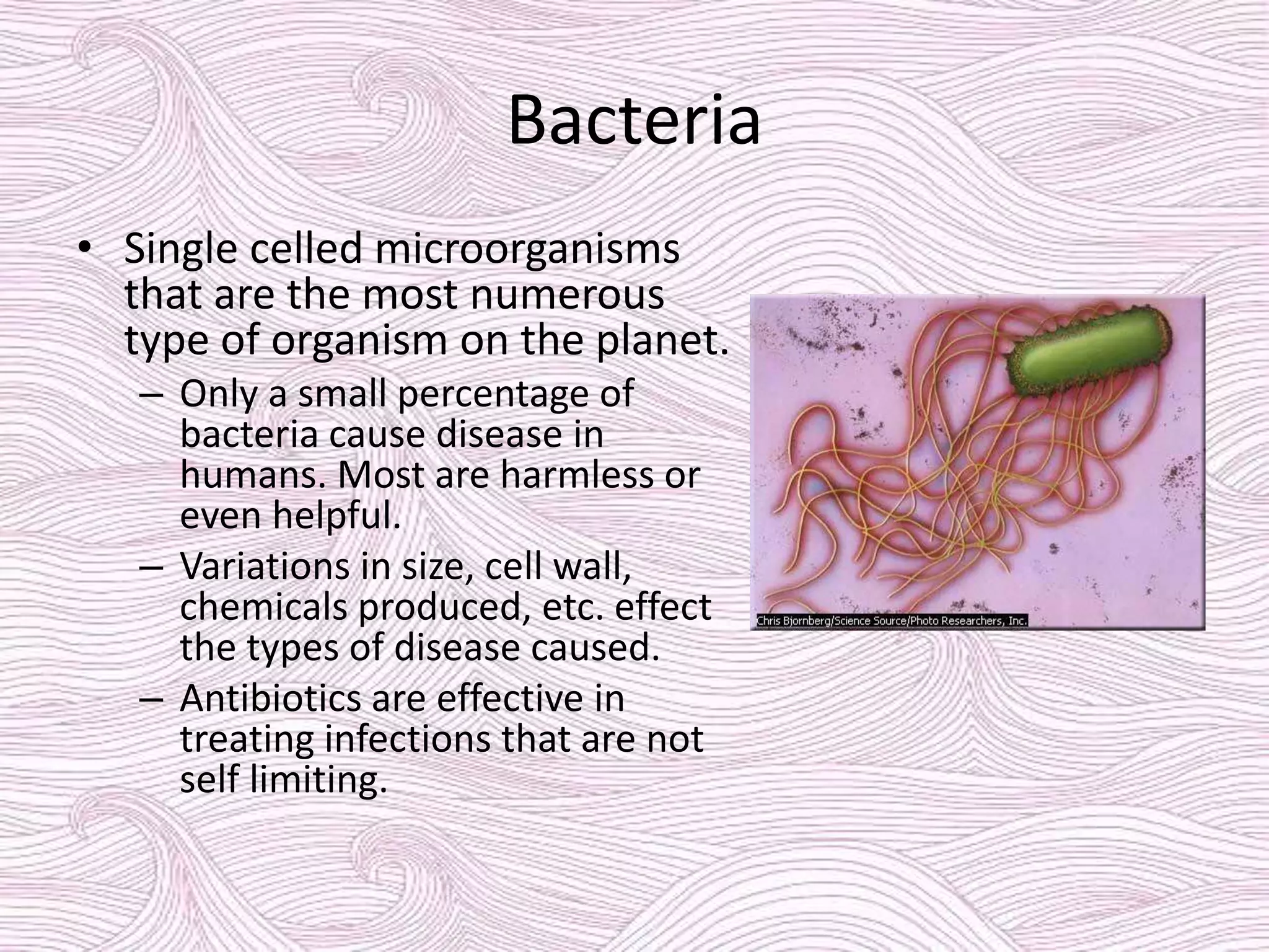 Microbiology concepts | PPTX