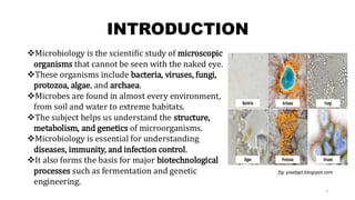 Fundamentals of Microbiology: Full Scope | PDF