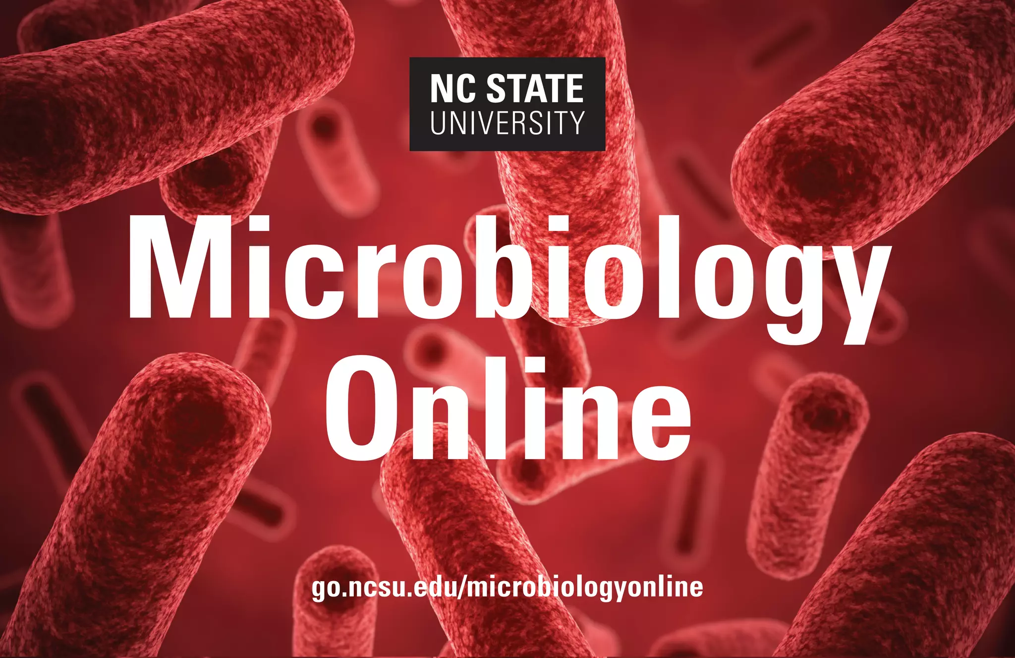 NC State University- Microbiology Marketing | PPT