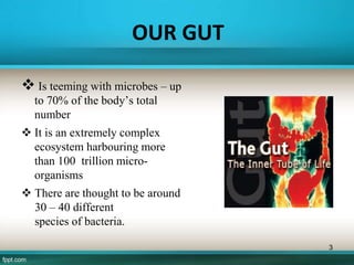 Gut Flora | PPTX