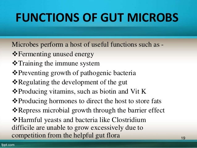 Gut Flora