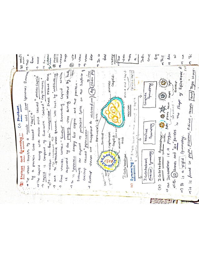 Mycology & Virology complete written notes | PDF