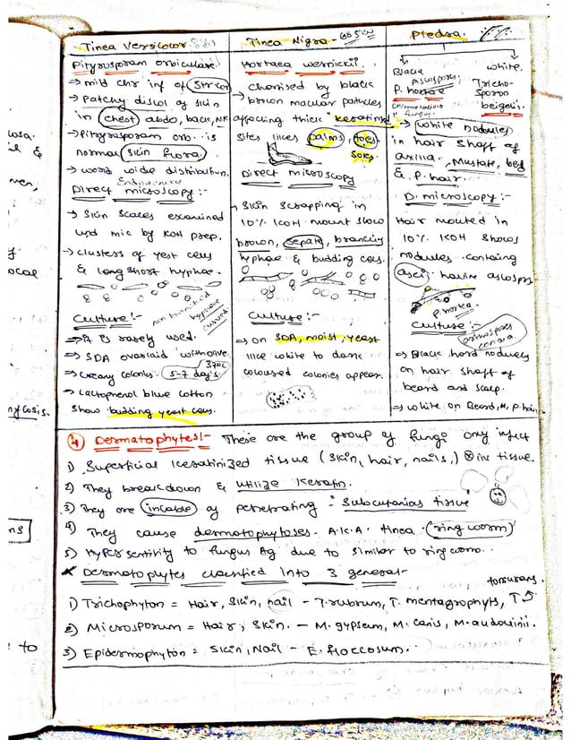 Mycology & Virology complete written notes | PDF