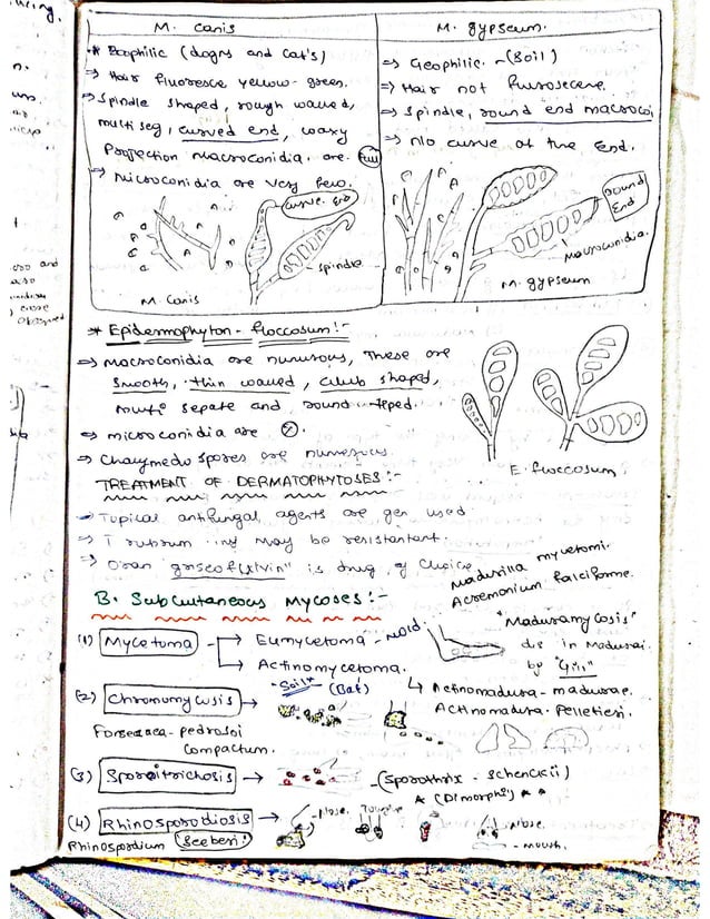 Mycology & Virology complete written notes | PDF