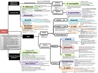 Microbiology flowchart.pdf
