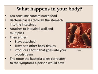 Microbiology food poisoning lecture | PPTX