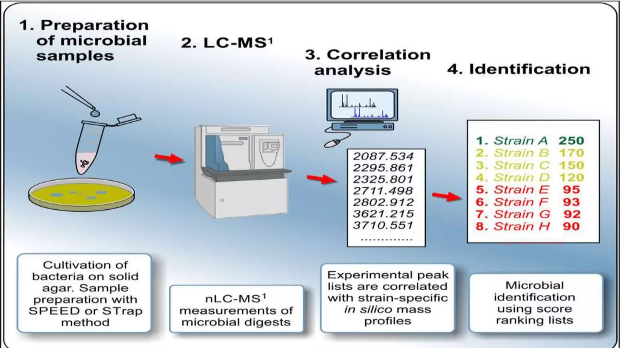 Microbiology for Engineers | PPTX