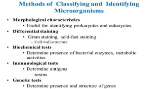 Microbiology for Engineers | PPTX