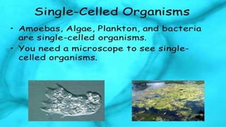 Microbiology for Engineers | PPTX