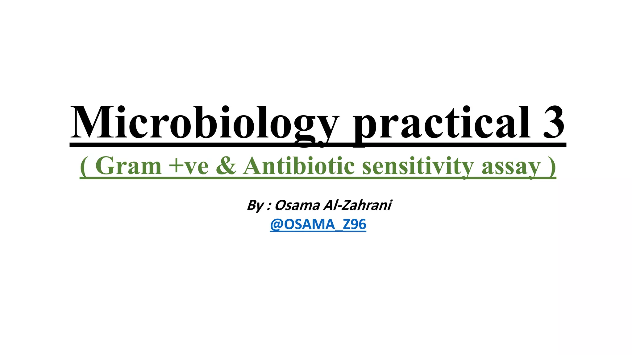 Microbiology (gram positive and antibiotic sensitivity assay) | PPT