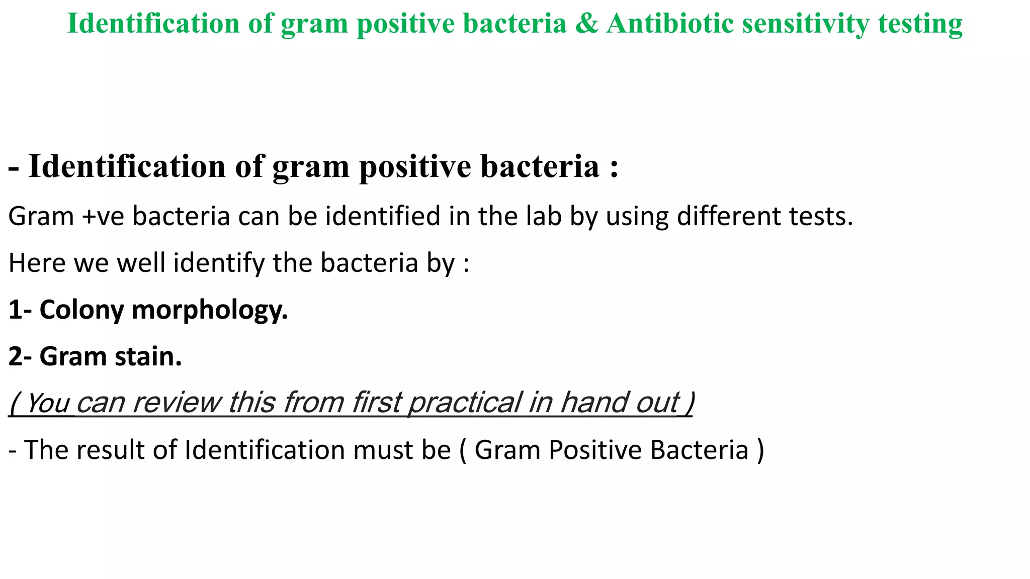 Microbiology (gram positive and antibiotic sensitivity assay) | PPT