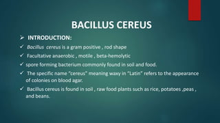 Microbiology grp 6 abdullah bilal (1) | PPT