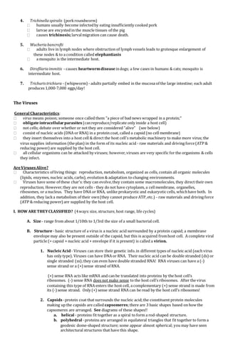 Microbiology | DOCX