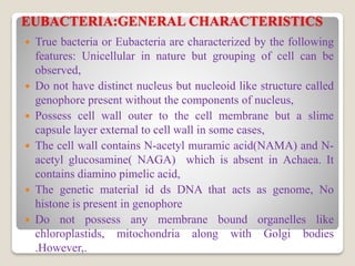 Bacteria- Morphology, Characteristics and Diversity | PDF