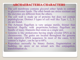 Bacteria- Morphology, Characteristics and Diversity | PDF