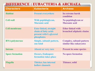 Bacteria- Morphology, Characteristics and Diversity | PDF