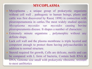 Bacteria- Morphology, Characteristics and Diversity | PDF