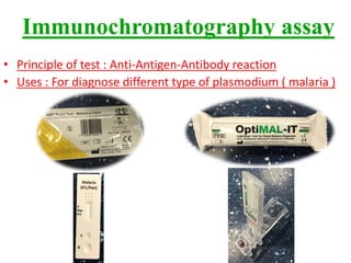 Microbiology (immunological method and application) | PPT