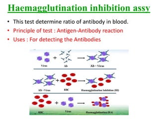 Microbiology (immunological method and application) | PPT