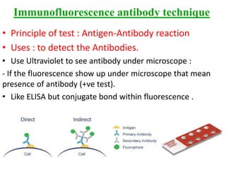 Microbiology (immunological method and application) | PPT | Free Download