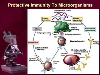 Microbiology & immunology seminar pg | PPT