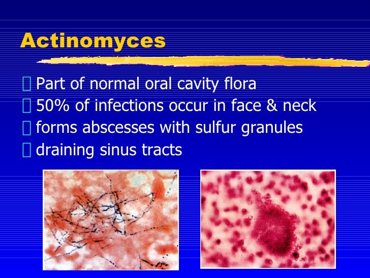 Microbiology,Infection & Antibiotic Therapy