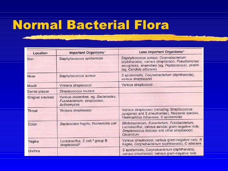 Microbiology,Infection & Antibiotic Therapy
